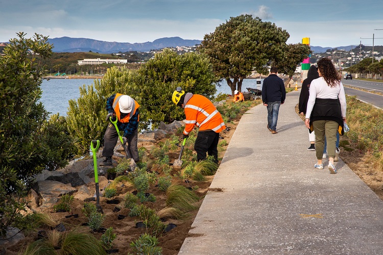 Project timeline | Cobham Drive - WCC Transport Projects